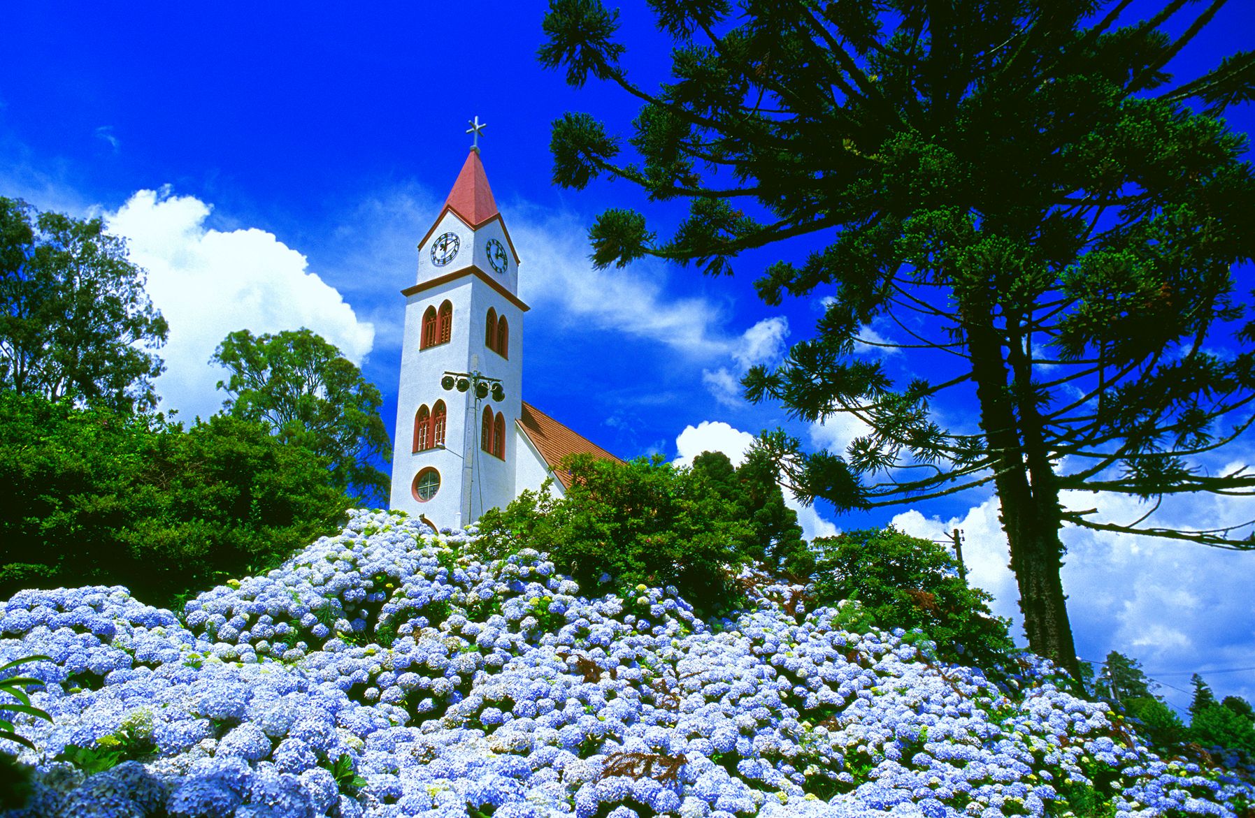 Os 21 Melhores Passeios Gratuitos de Gramado e Região