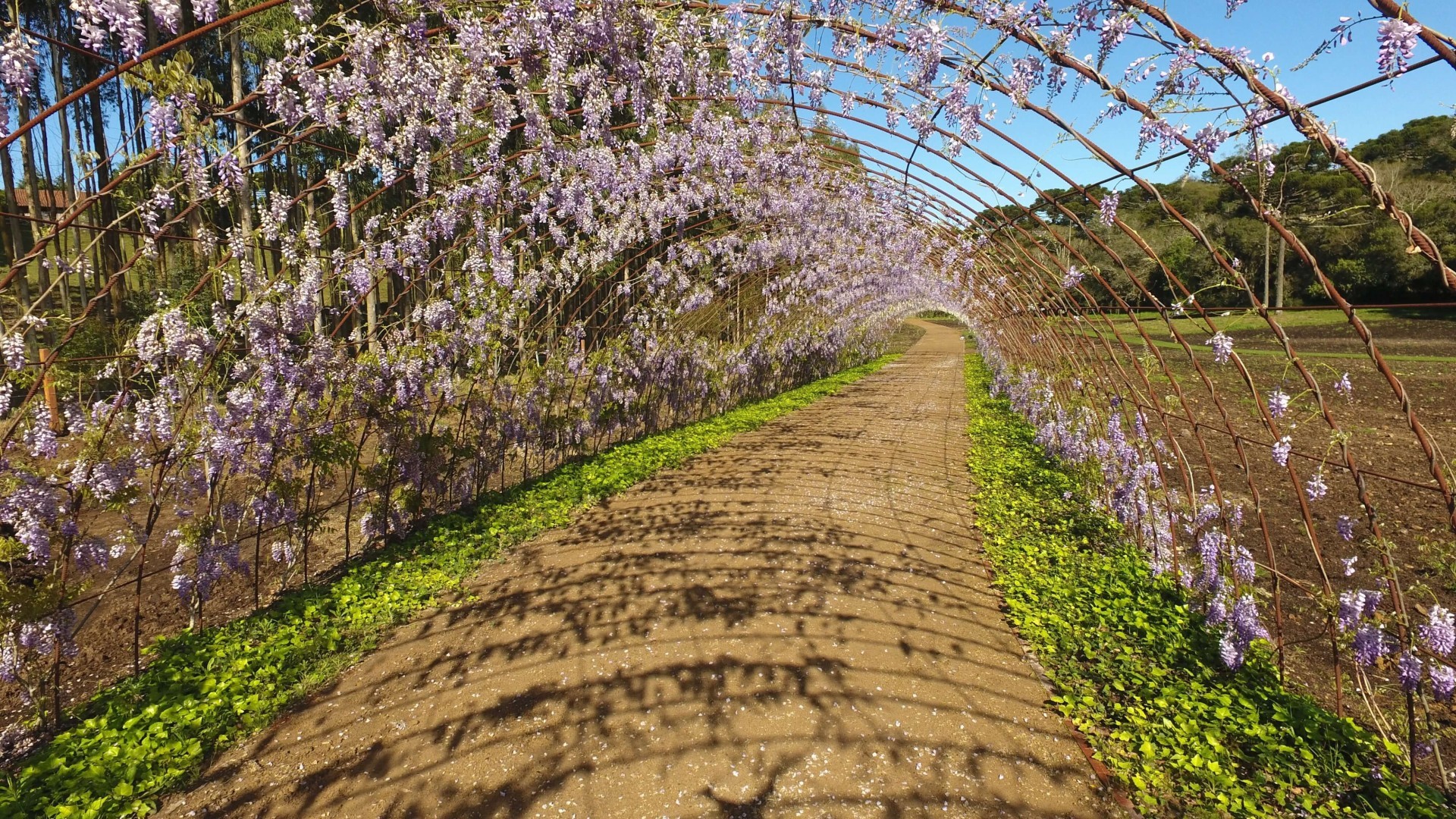 Mátria Parque das Flores - Vale a pena conhecer?